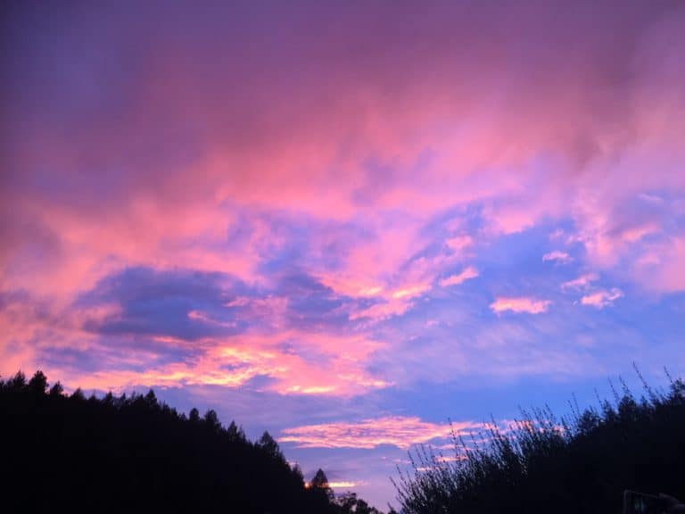 The Perfect Napa Valley Weekend | What To Do In Napa Valley 2021